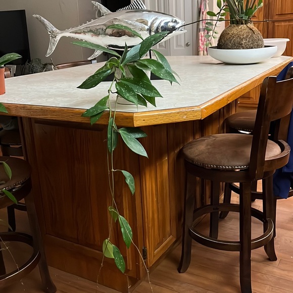 Accents | Hoya Splash Aka Hawaiian Pub | Poshmark